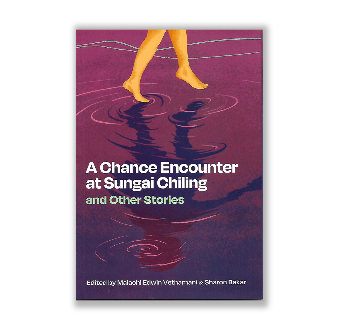 A Chance Encounter at Sungai Chiling and Other Stories - Riwayat